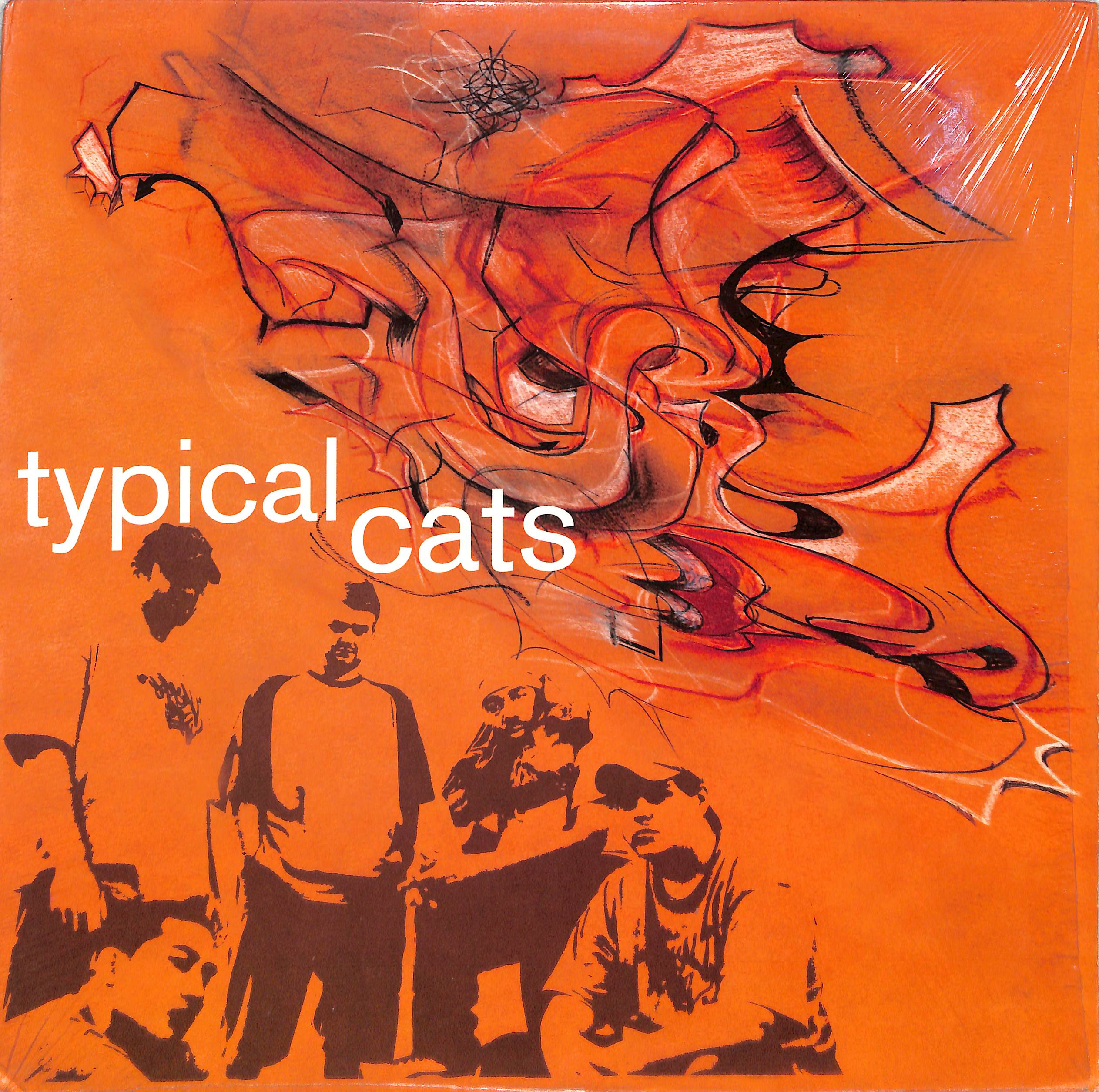 Typical Cats by Typical Cats | PosseCut.com